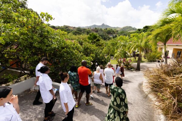 Tri Island Chocolate | The Rich Flavors of the Islands